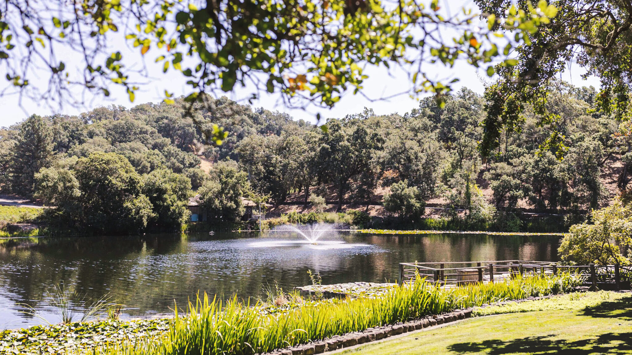 The Foley Collection - Foley Entertainment Group